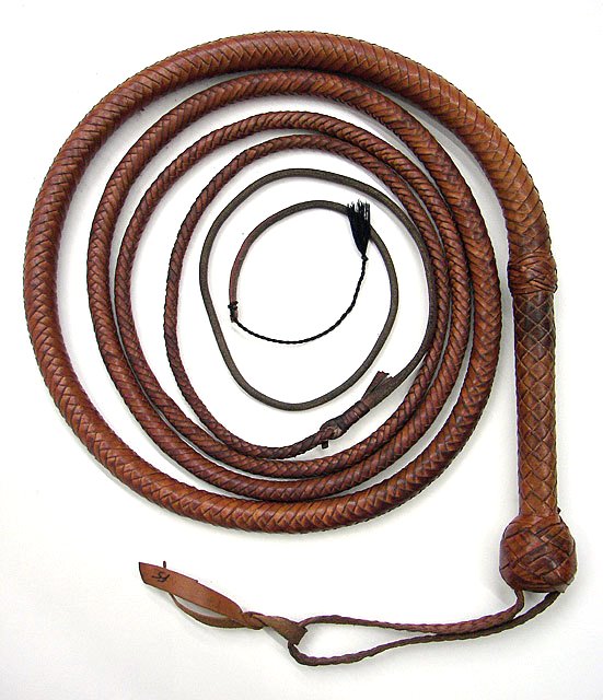 The Lord of The Whip: Mr. david w. morgan - Giovanni Celeste