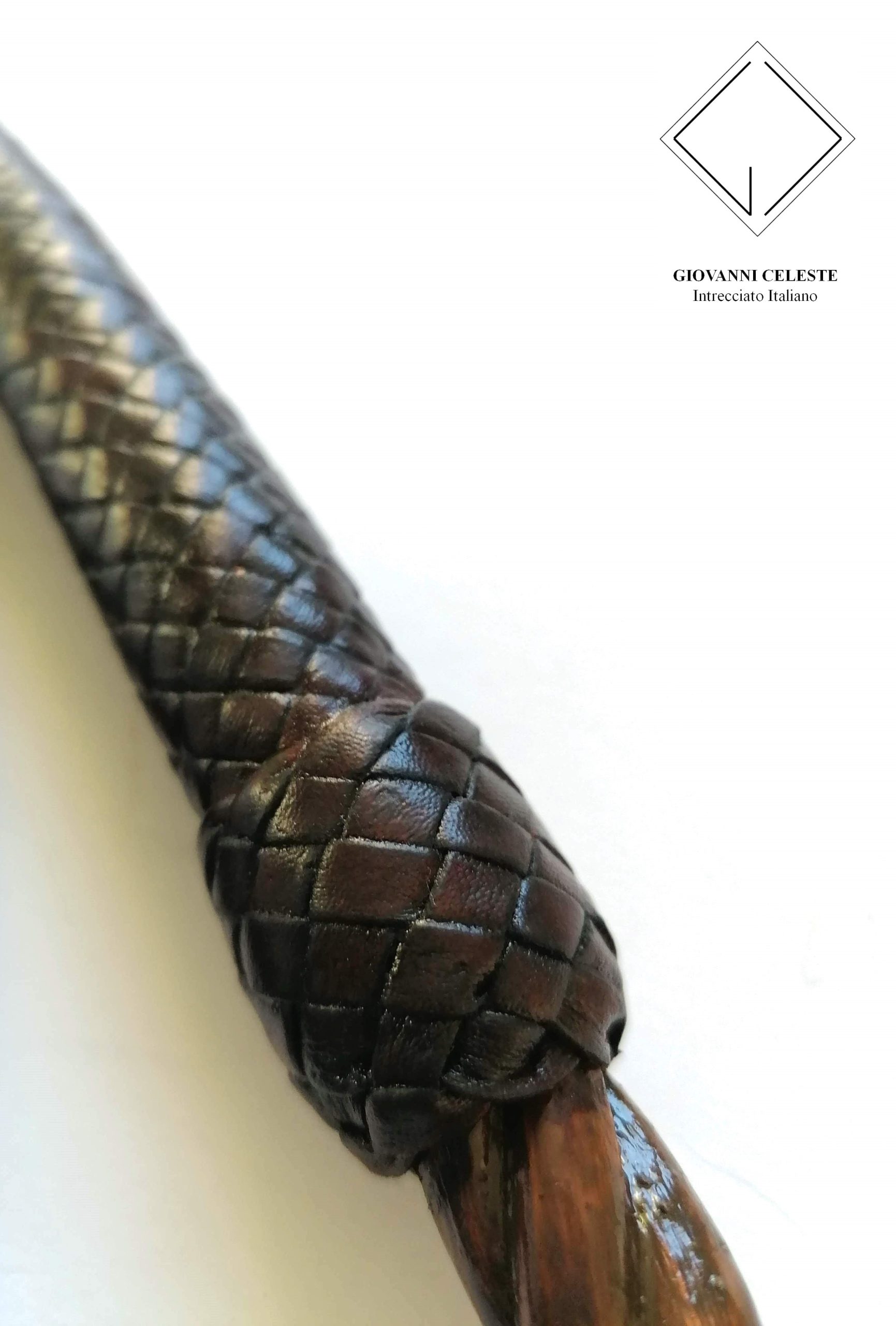 FANTASY PATTERNS ALTER WHIP DYNAMICS? - Giovanni Celeste