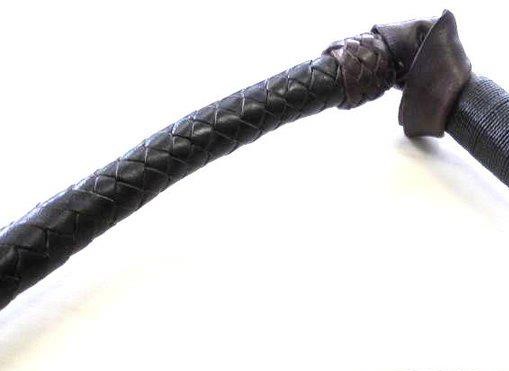 FANTASY PATTERNS ALTER WHIP DYNAMICS? - Giovanni Celeste