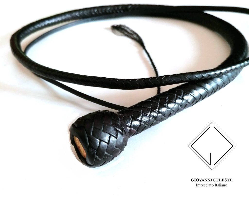 FANTASY PATTERNS ALTER WHIP DYNAMICS? - Giovanni Celeste