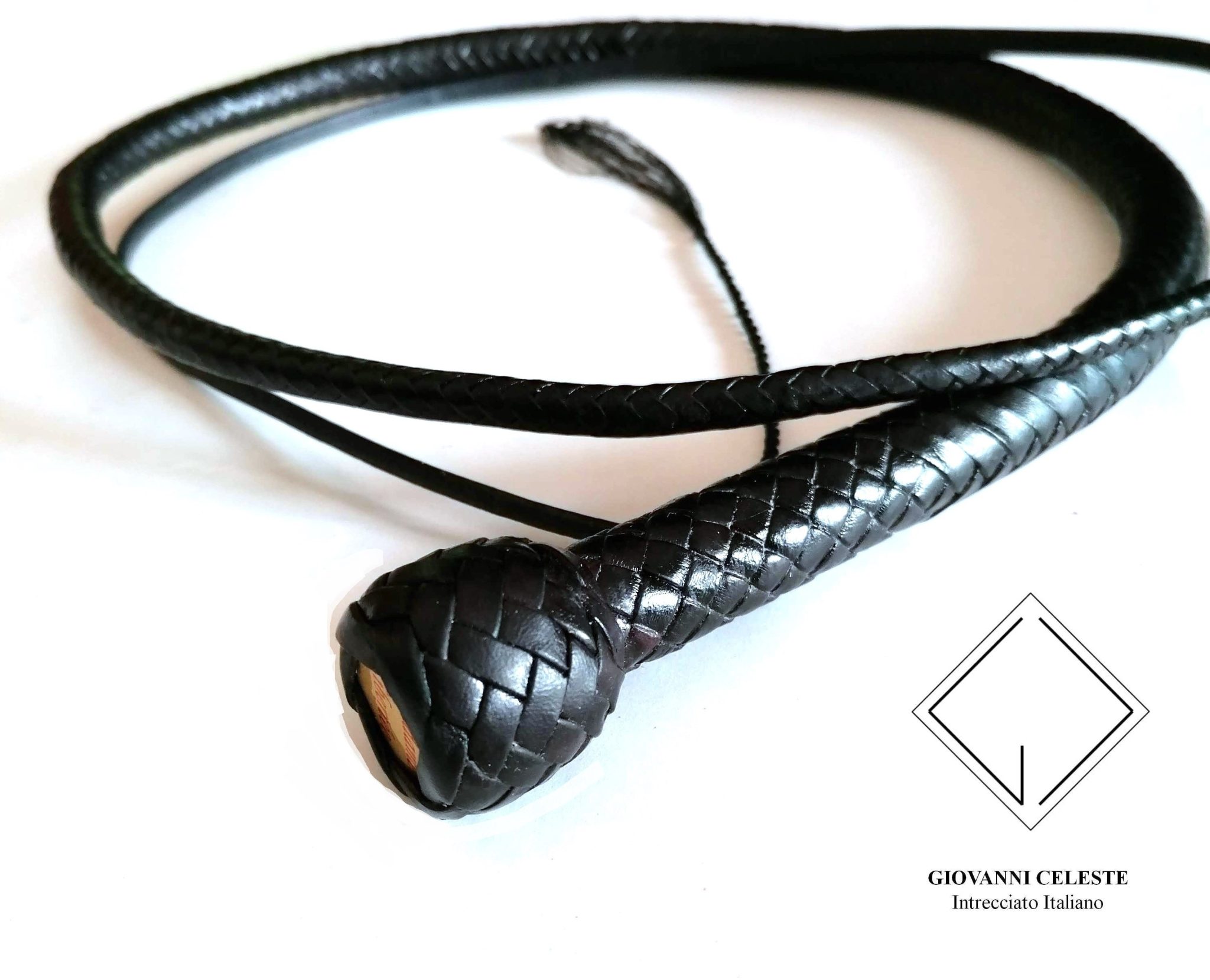 FANTASY PATTERNS ALTER WHIP DYNAMICS? - Giovanni Celeste